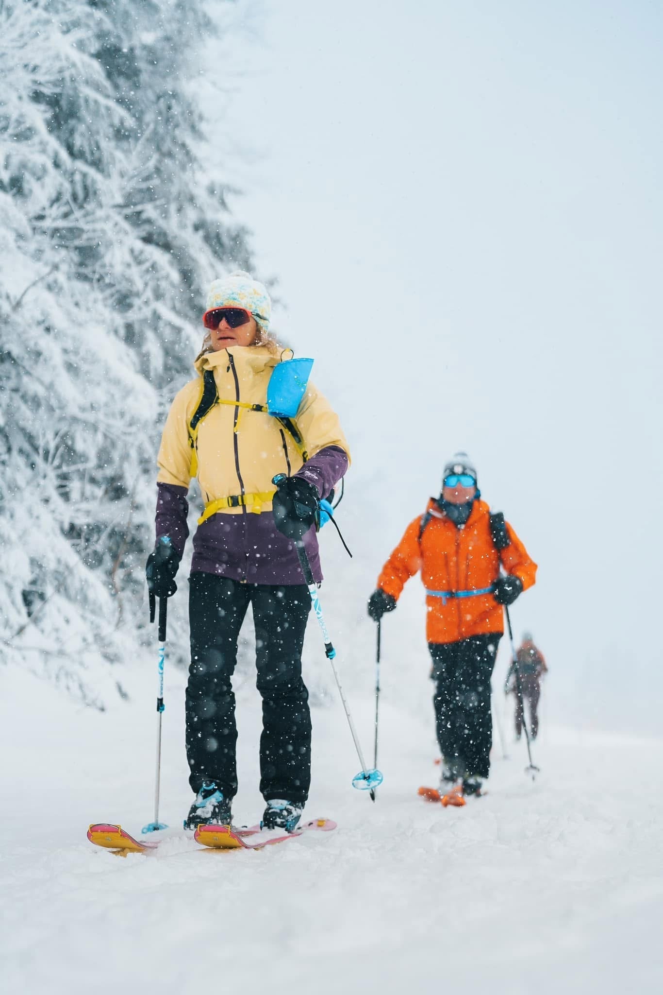 Bâtons de ski de randonnée alpine - La meilleure sélection – Max Ski ...